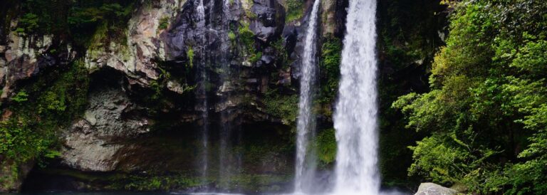 How To Use Negative Ion Rings | Purlife